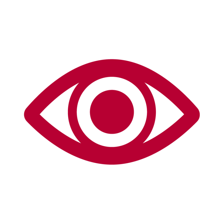 dissecto HydraVision - Security Test Environment